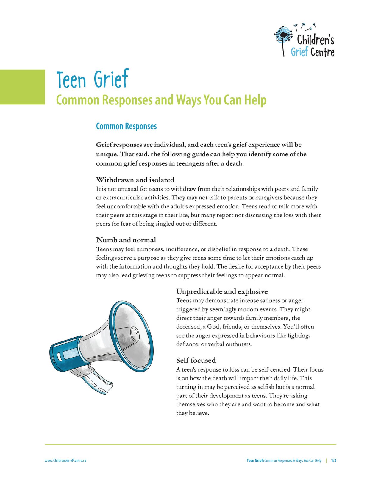 Teen Grief: Common Responses and Ways You Can Help - www.hospicecalgary.ca