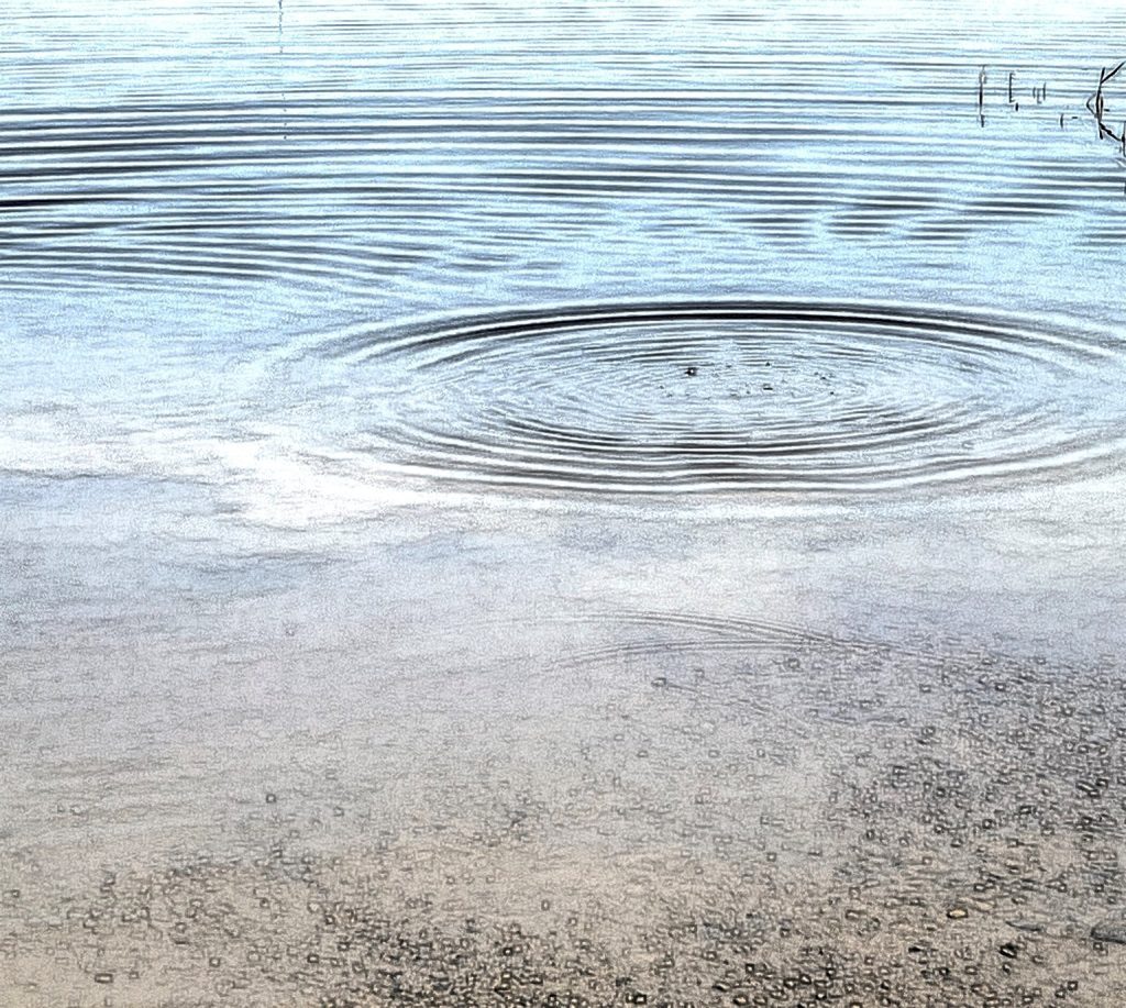 Loss and its Ripple Effect - www.hospicecalgary.ca